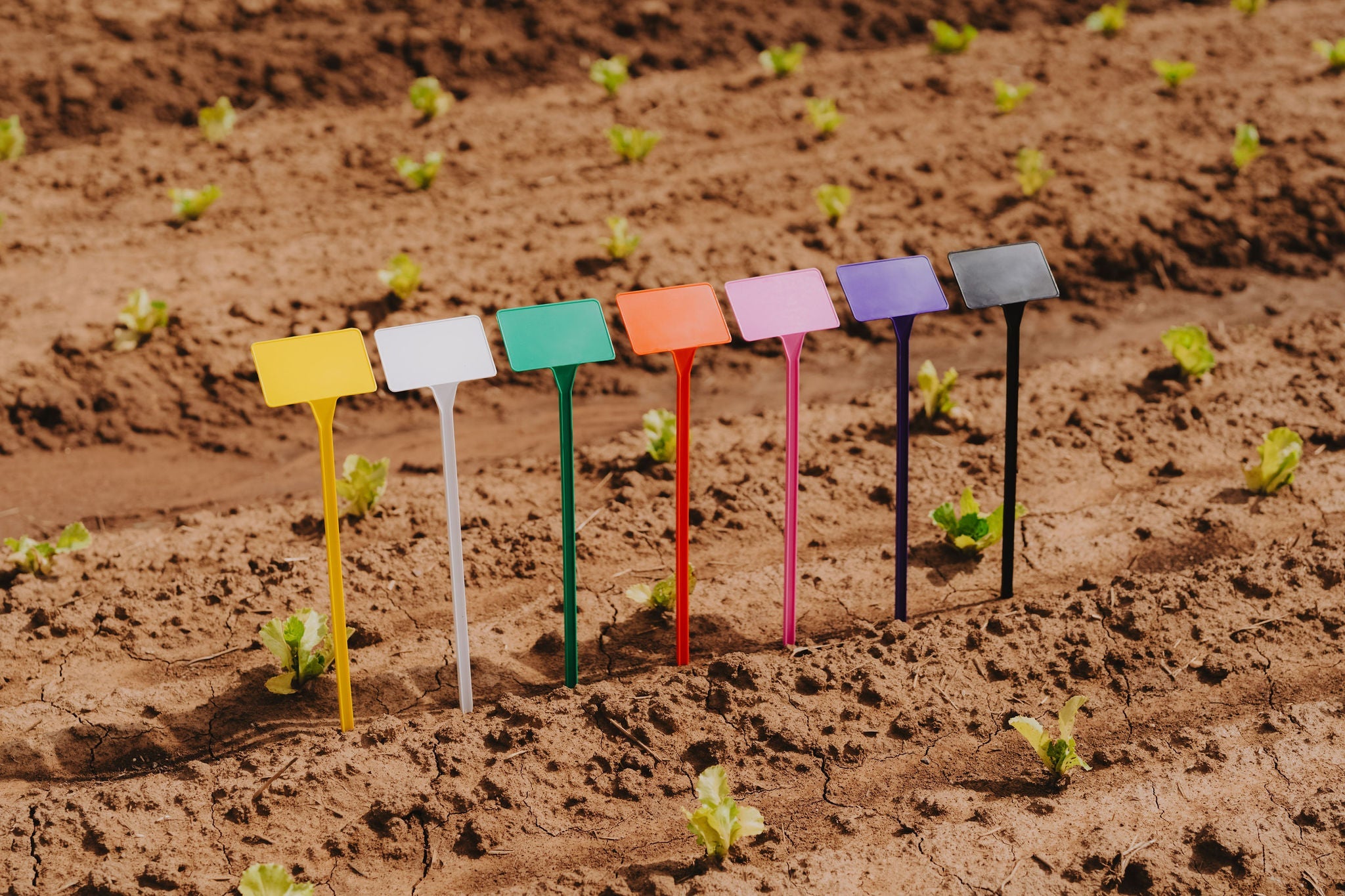 Display Stakes & Plant Labelling – Australian Made – Tri Sales